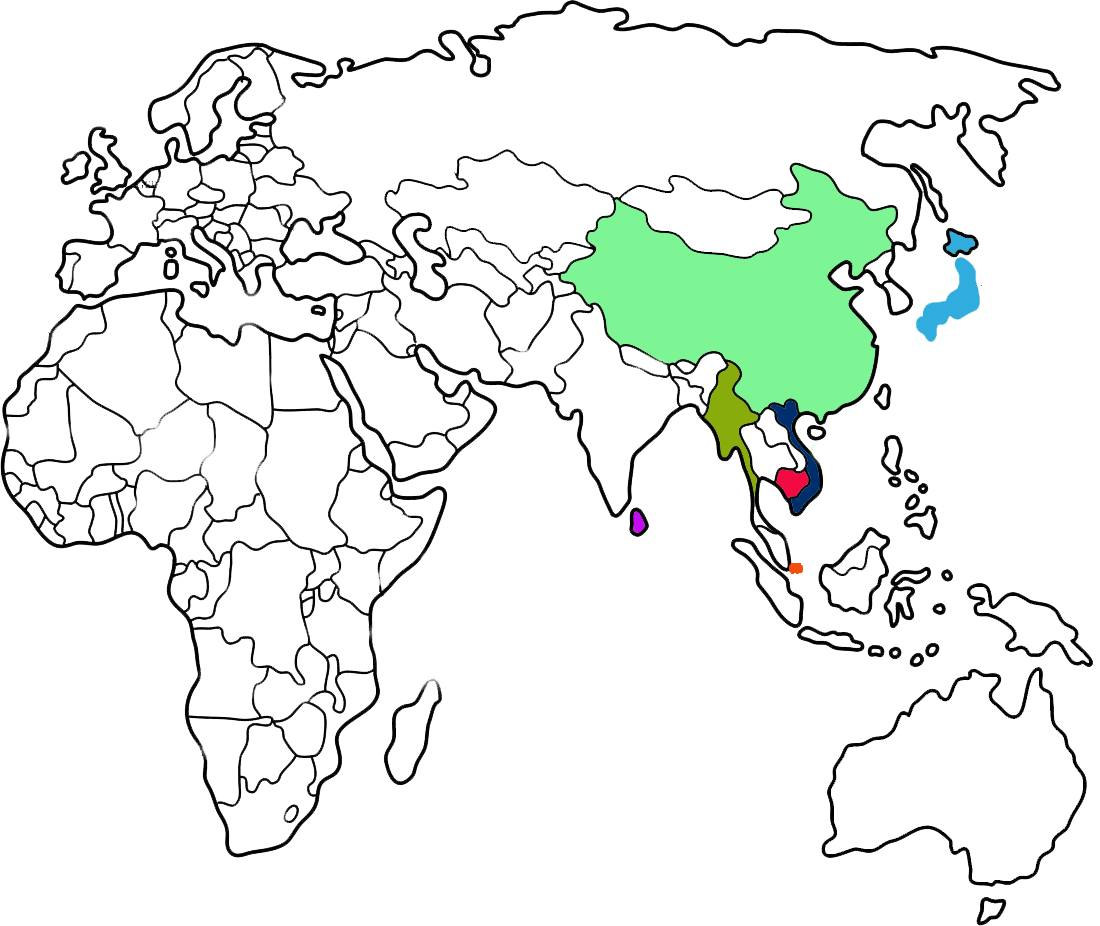 Organization Chart | SNK (ASIA PACIFIC) PTE., LTD